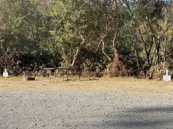 Casini Ranch Family Campground - Duncans Mills, California - Campspot