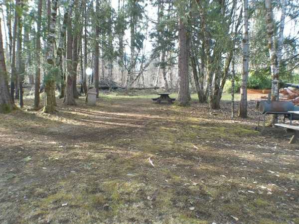 Holiday Farm RV Resort - Blue River, Oregon - Campspot