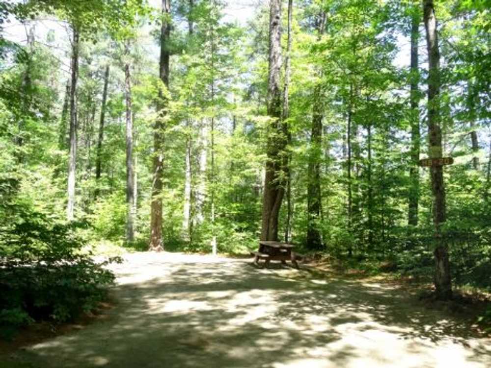 Papoose Pond Family Campground & Cabins - Waterford, Maine - Campspot