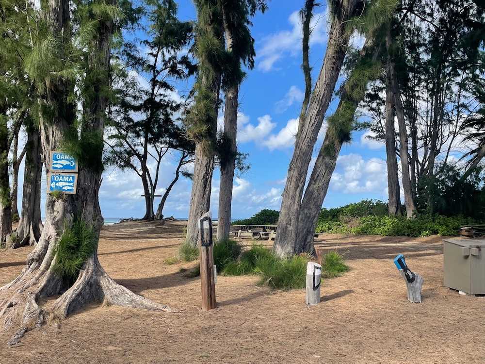 Camp Mokule‘ia - Waialua, Hawaii - Campspot