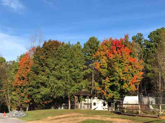 The Best Camping in Virginia - Explore Virginia Campgrounds - Campspot