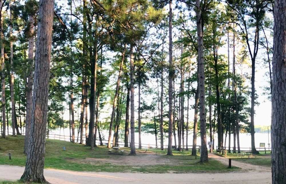 Rose Lake Park - LeRoy, Michigan - Campspot