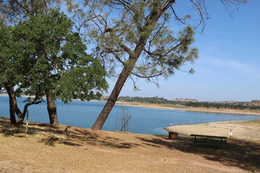 Lake Camanche South Shore - Wallace, California - Campspot